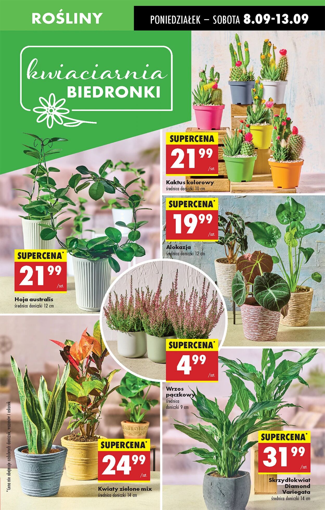Biedronka Gazetka Promocyjna - Ważna od 08.09 do 15.09 - Strona nr 19 ...
